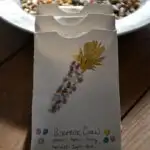 Super Easy DIY Printable Seed Packets - Free PDF Pattern