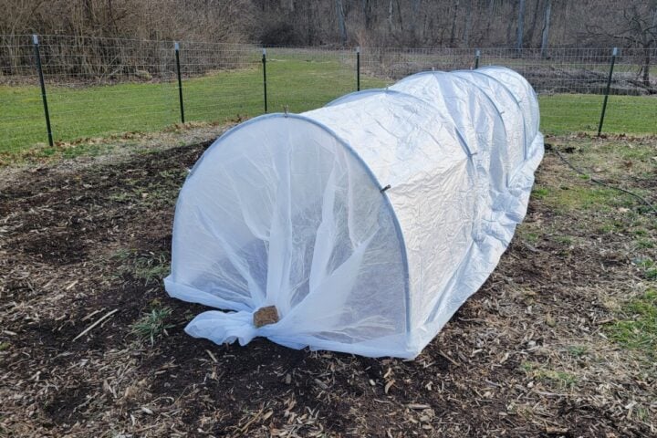 Here's Why Your Seeds Didn’t Germinate & How to Fix It