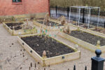 29 Common Vegetable Gardening Mistakes I See All the Time