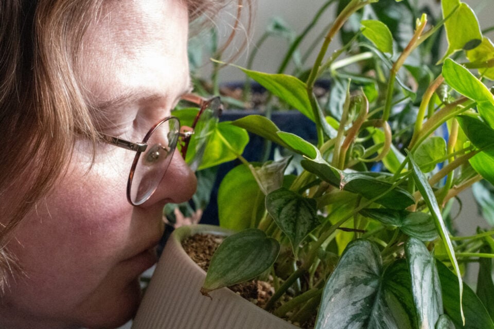 The Weird Reason You Should Sniff Your Houseplant Soil