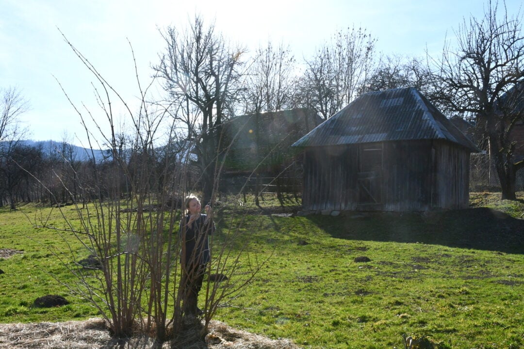 13 Ways to Celebrate the First Day of Spring - Gardeners' Edition