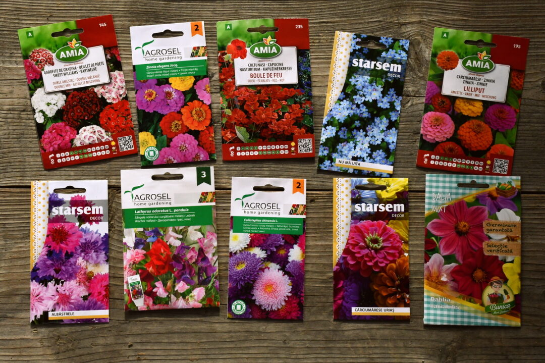 13 Ways to Celebrate the First Day of Spring - Gardeners' Edition