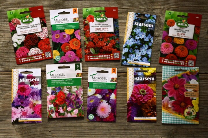 13 Ways to Celebrate the First Day of Spring - Gardeners' Edition