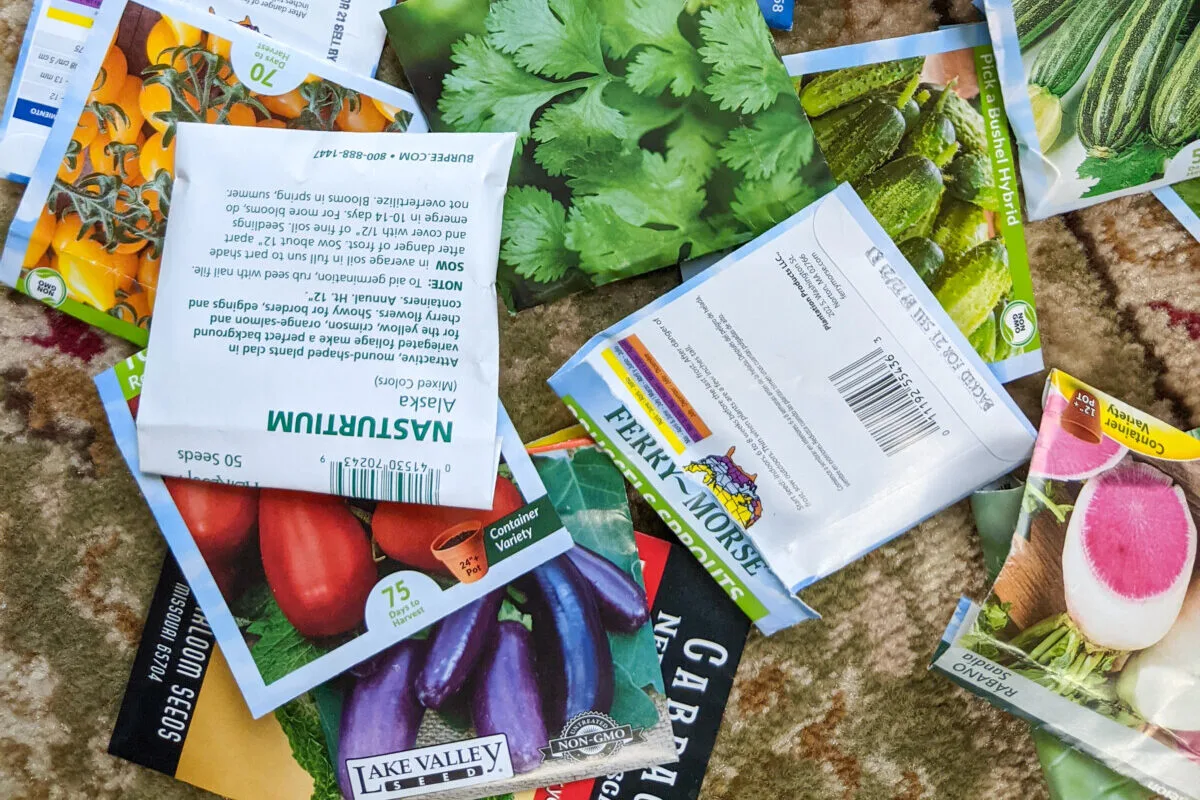 Start a Garden for Free – No-Nonsense Advice from a Real Gardener