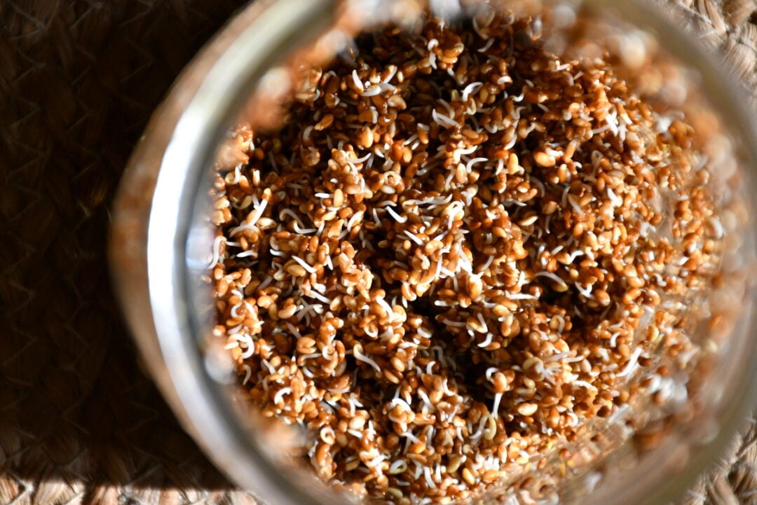 13 Ways to Celebrate the First Day of Spring - Gardeners' Edition