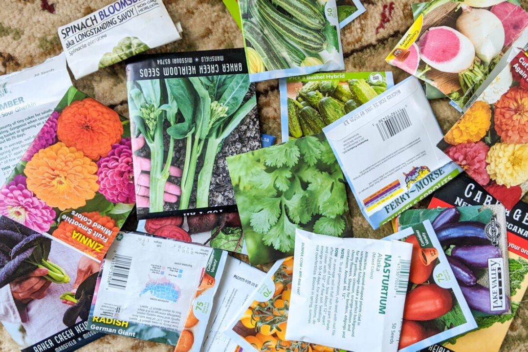 8 Reasons Starting Your Own Seedlings is a Complete Waste of Time & Money