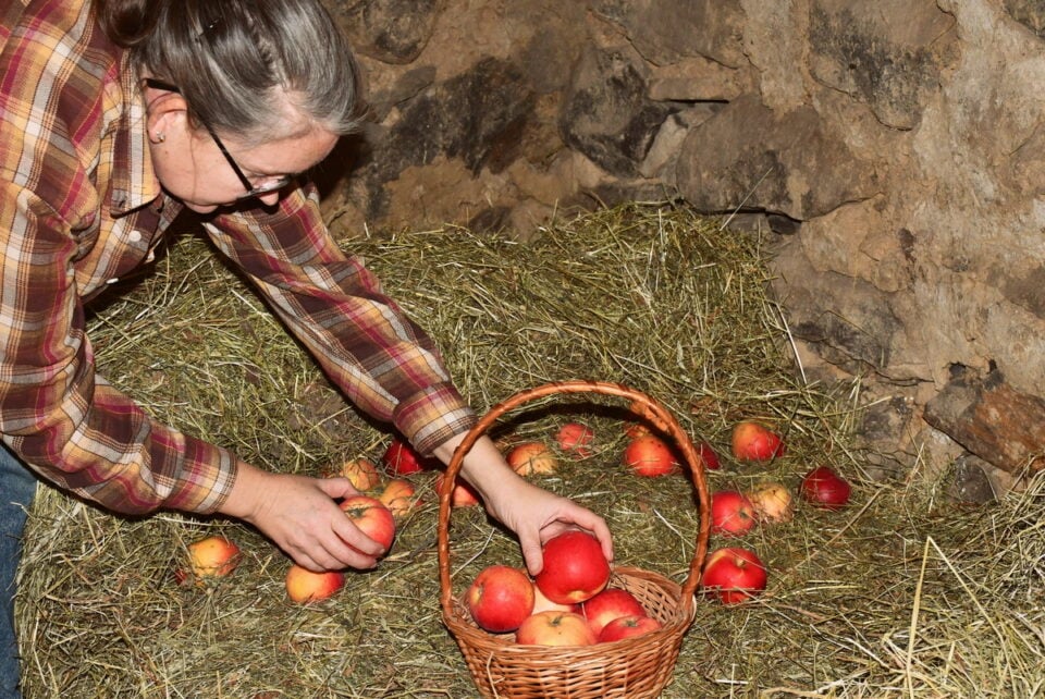 13 Ways to Celebrate the First Day of Spring - Gardeners' Edition