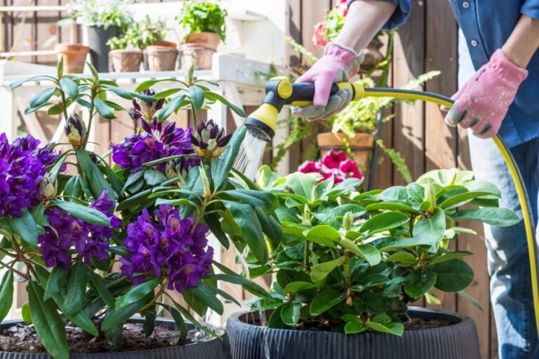 30 Allelopathic Plants That Can Seriously Harm Your Garden