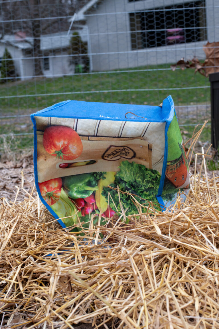 How To Protect Newly Planted Seedlings from Spring Frosts