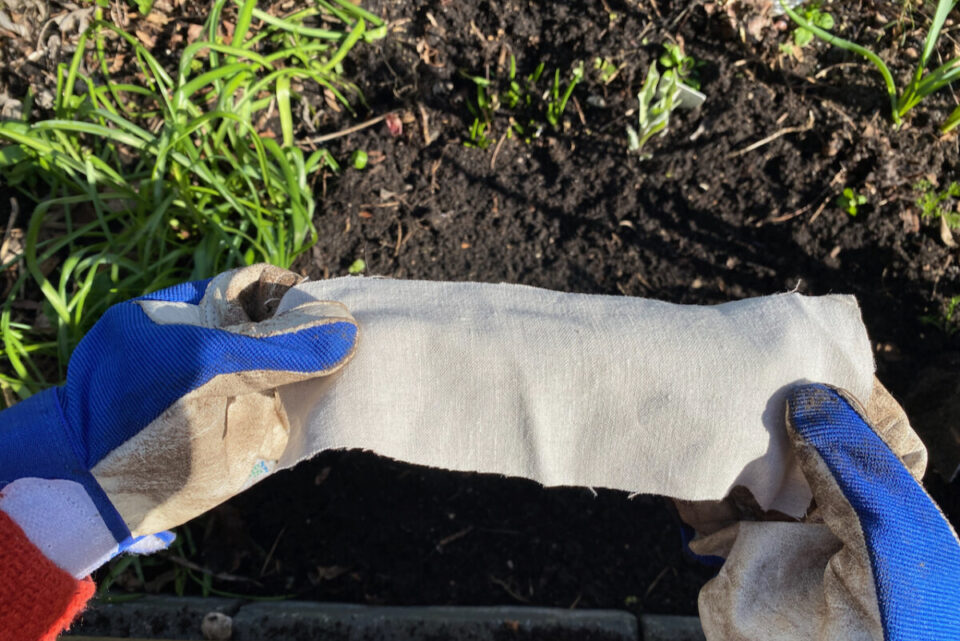 Does Your Soil Pass the Underwear Test?