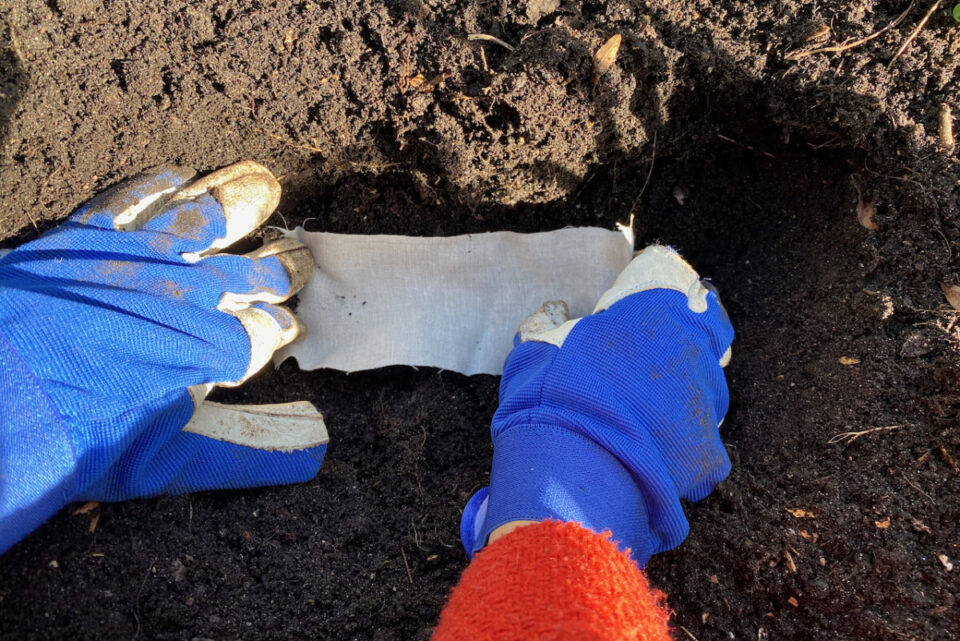 Does Your Soil Pass the Underwear Test?