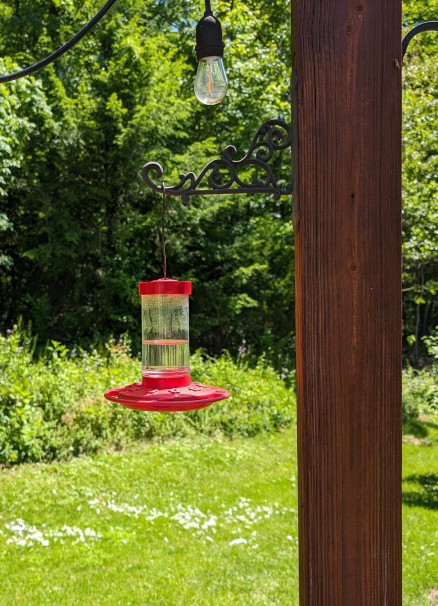 9 Things That Stop Hummingbirds from Using Your Feeder