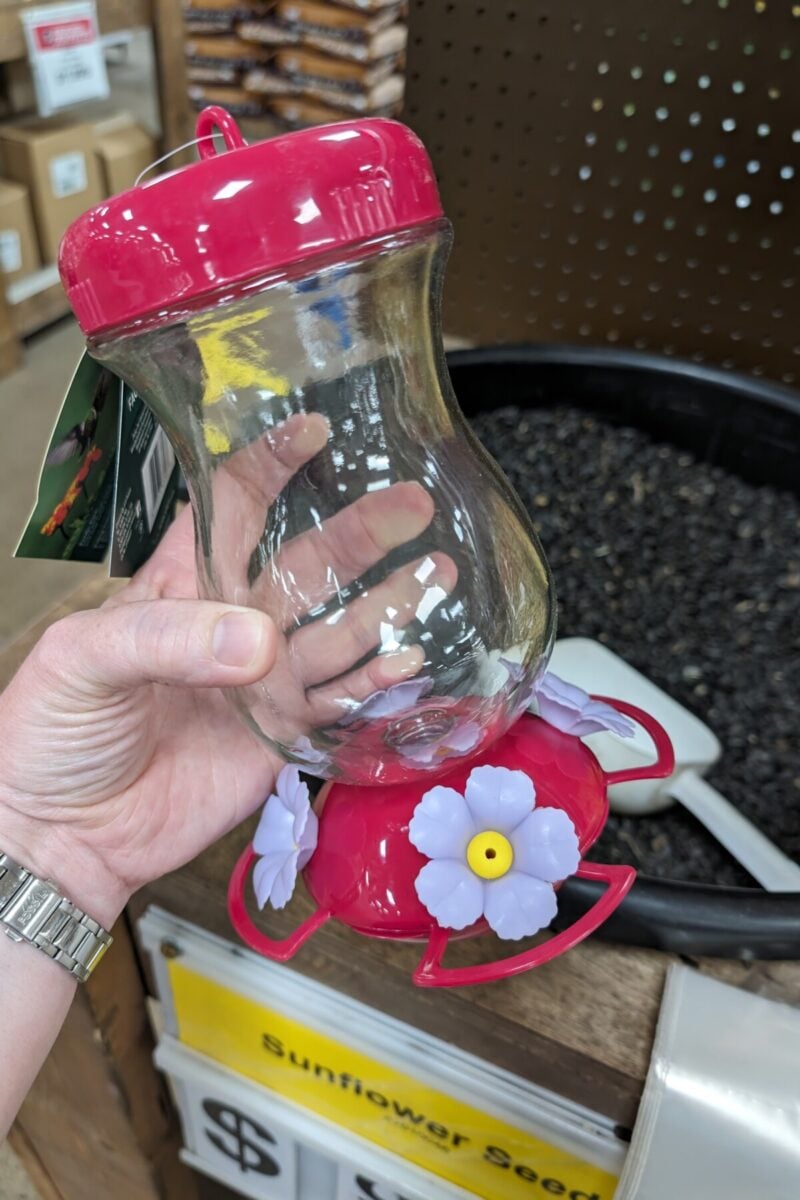 9 Things That Stop Hummingbirds from Using Your Feeder