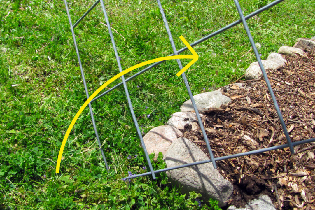 How to Build an Arched Trellis with Cattle Panels