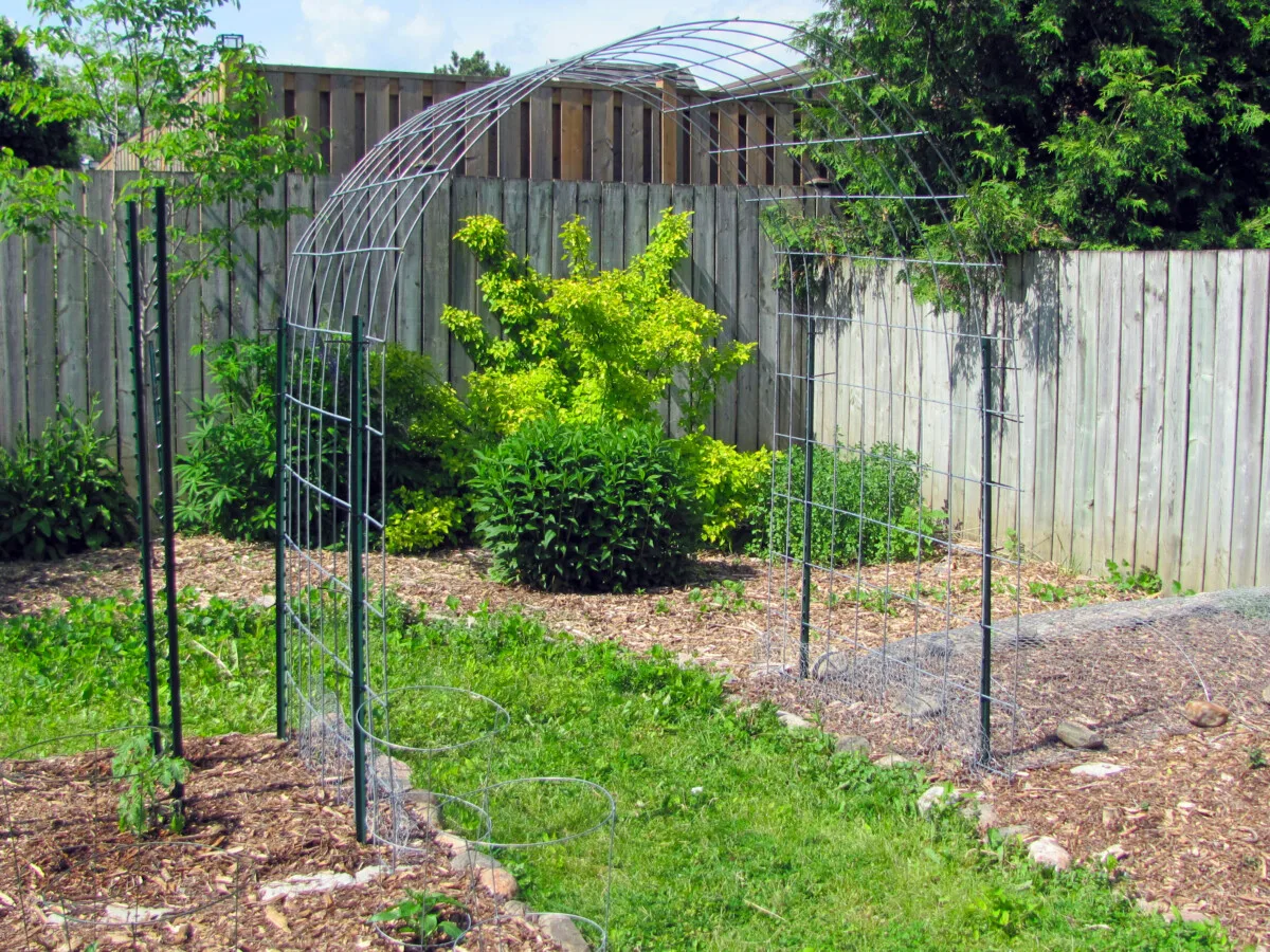 How to Build an Arched Trellis with Cattle Panels