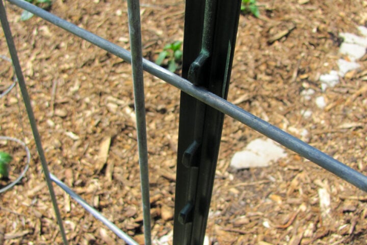 How to Build an Arched Trellis with Cattle Panels