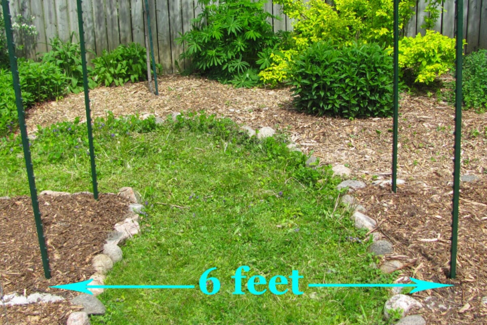 How to Build an Arched Trellis with Cattle Panels