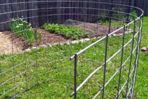 How to Build an Arched Trellis with Cattle Panels