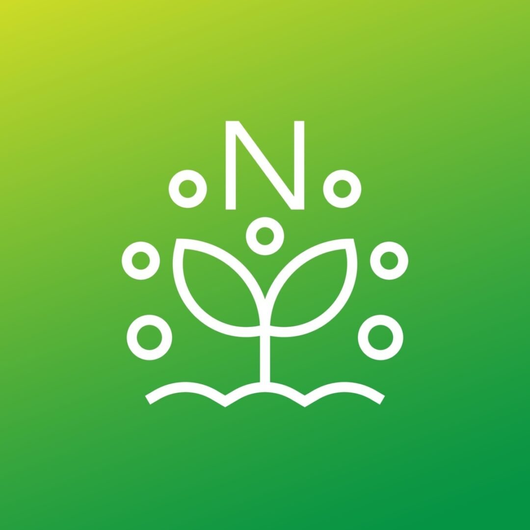 3 Signs of Nitrogen Deficiency in Plants & How to Fix it Quickly