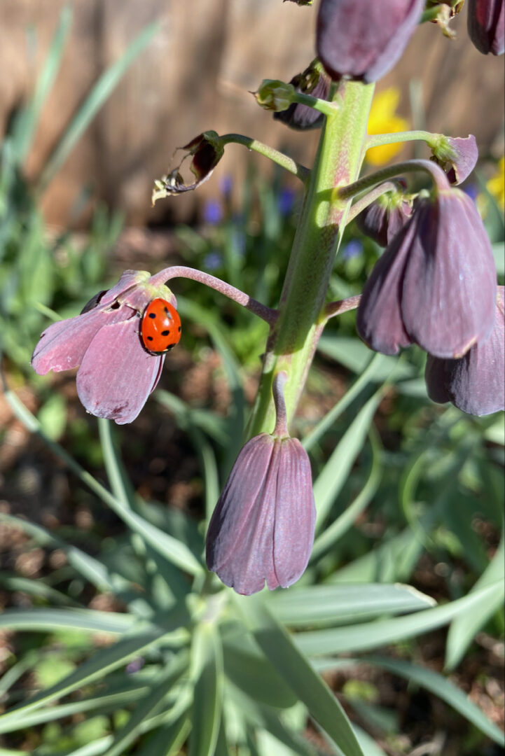 5 Bad Gardening Habits & How to Break Them