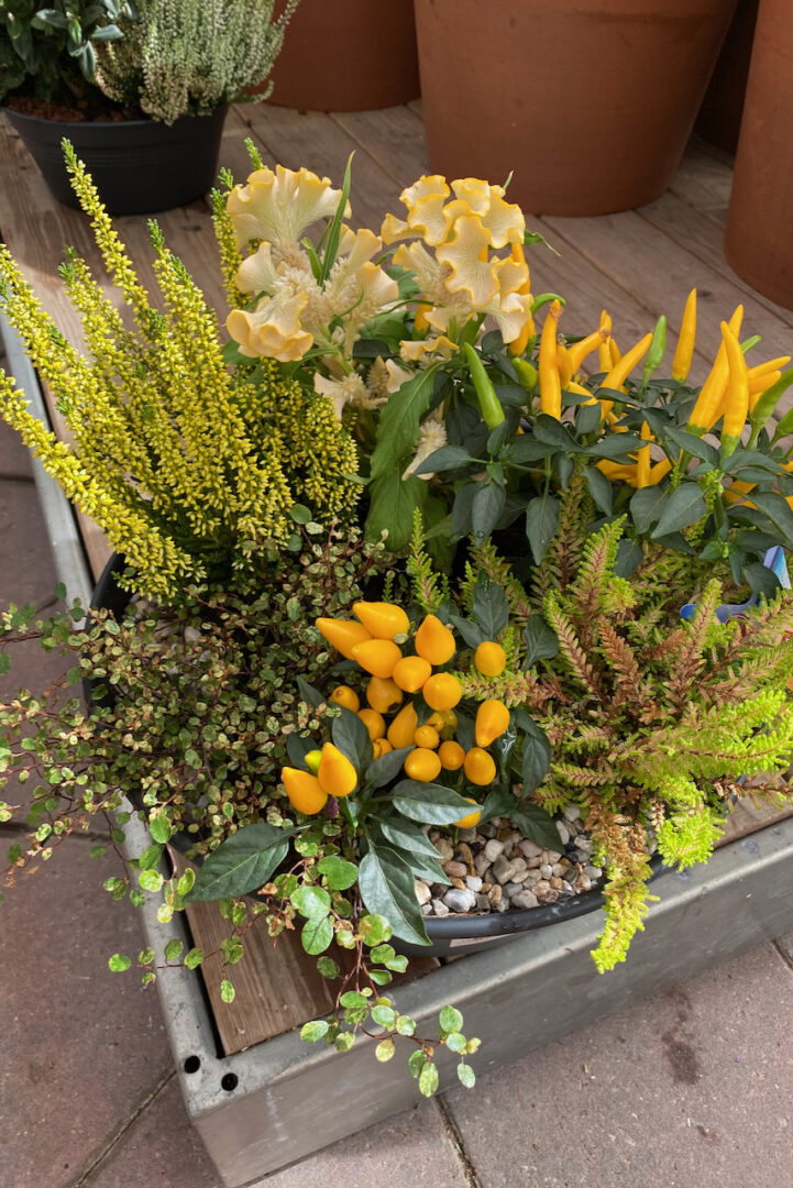 5 Bad Gardening Habits & How to Break Them