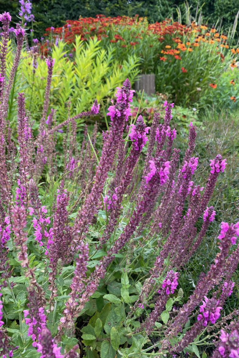 5 Bad Gardening Habits & How to Break Them