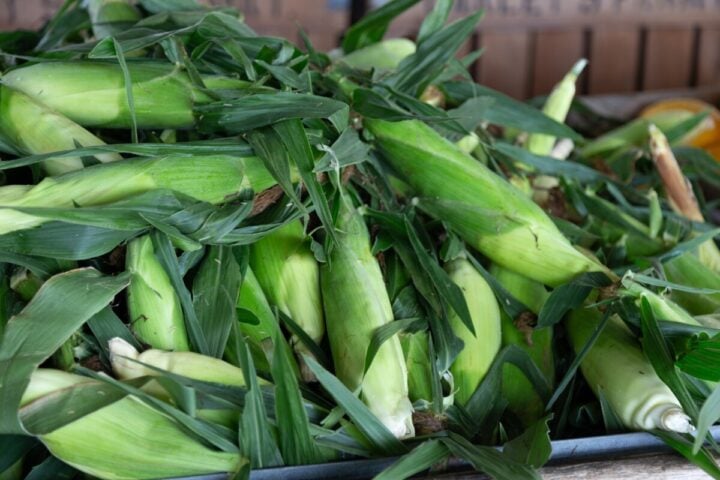 Turn Leftover Corn Cobs into Corn Broth
