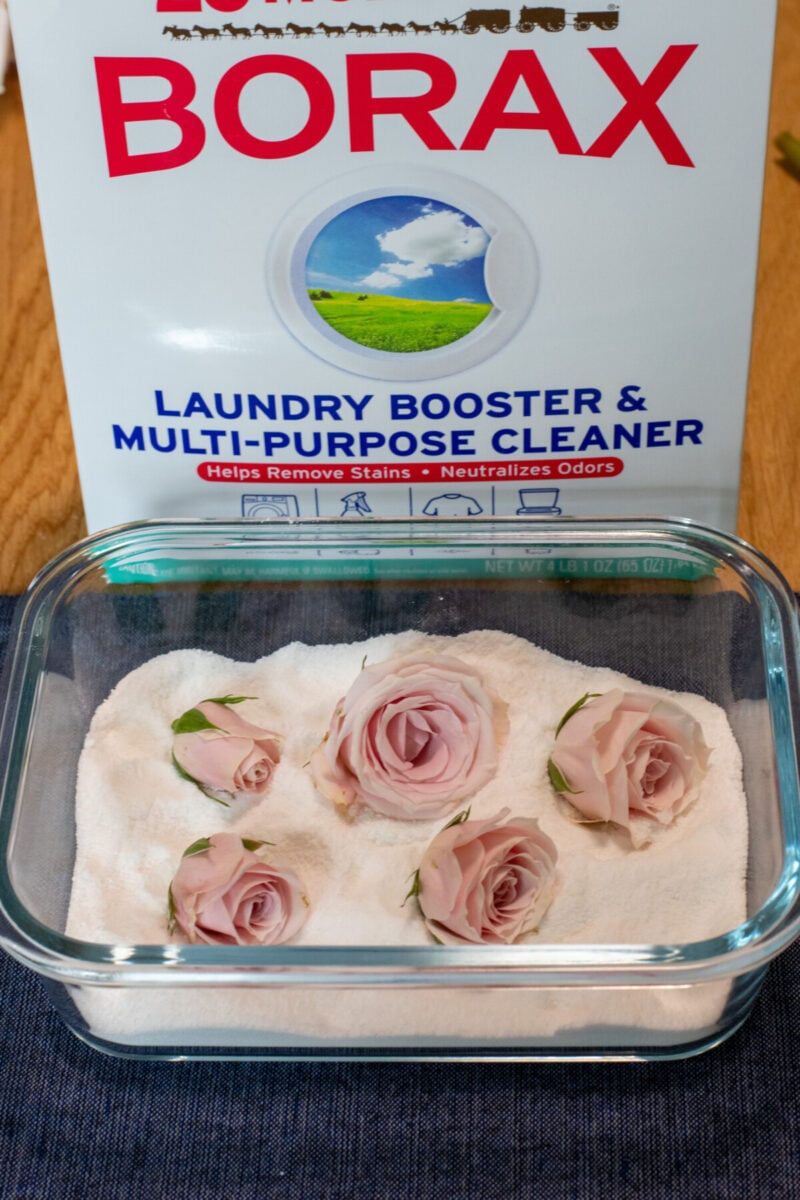 Easily Dry Flowers for Long-Lasting Bouquets with 3 Household Items