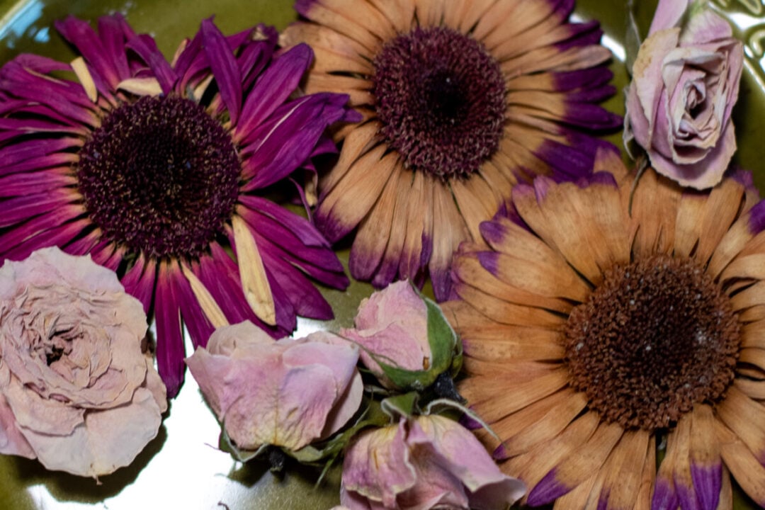 Easily Dry Flowers for Long-Lasting Bouquets with 3 Household Items