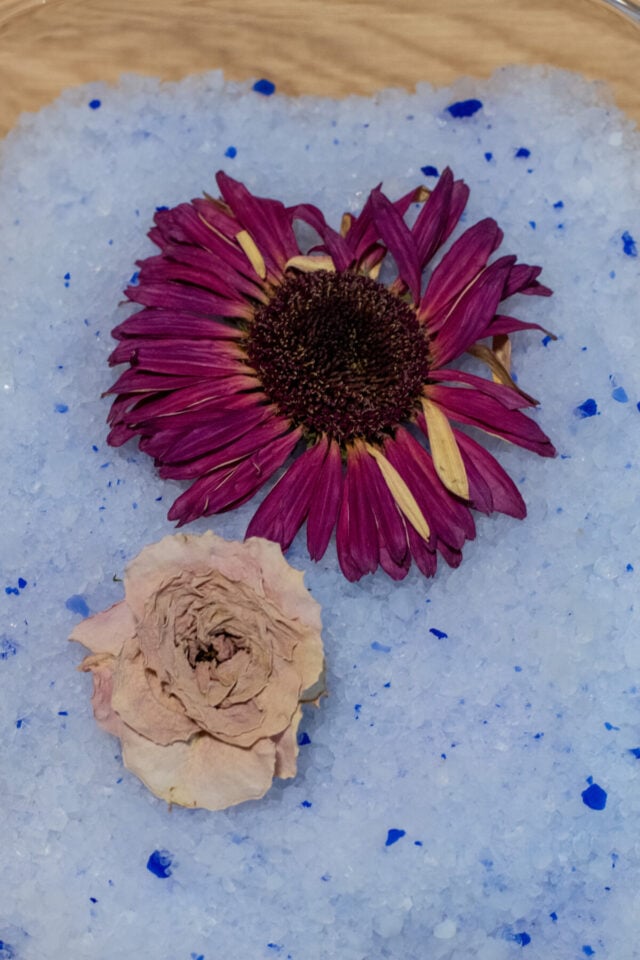 Easily Dry Flowers for Long-Lasting Bouquets with 3 Household Items