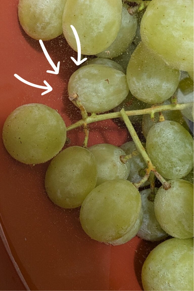 Use My Method to Store Grapes for Up to a Month
