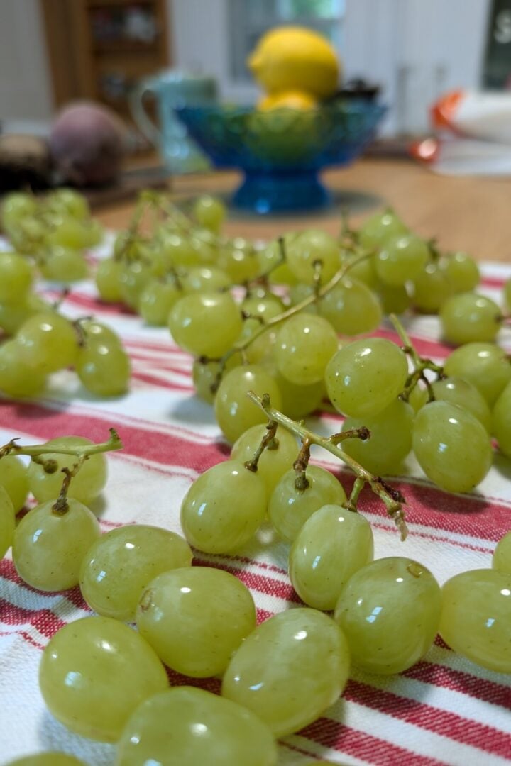 Use My Method to Store Grapes for Up to a Month