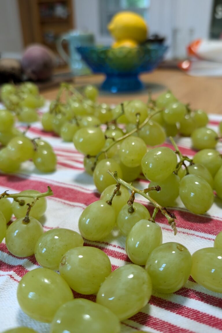 Use My Method to Store Grapes for Up to a Month
