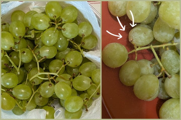 Use My Method to Store Grapes for Up to a Month