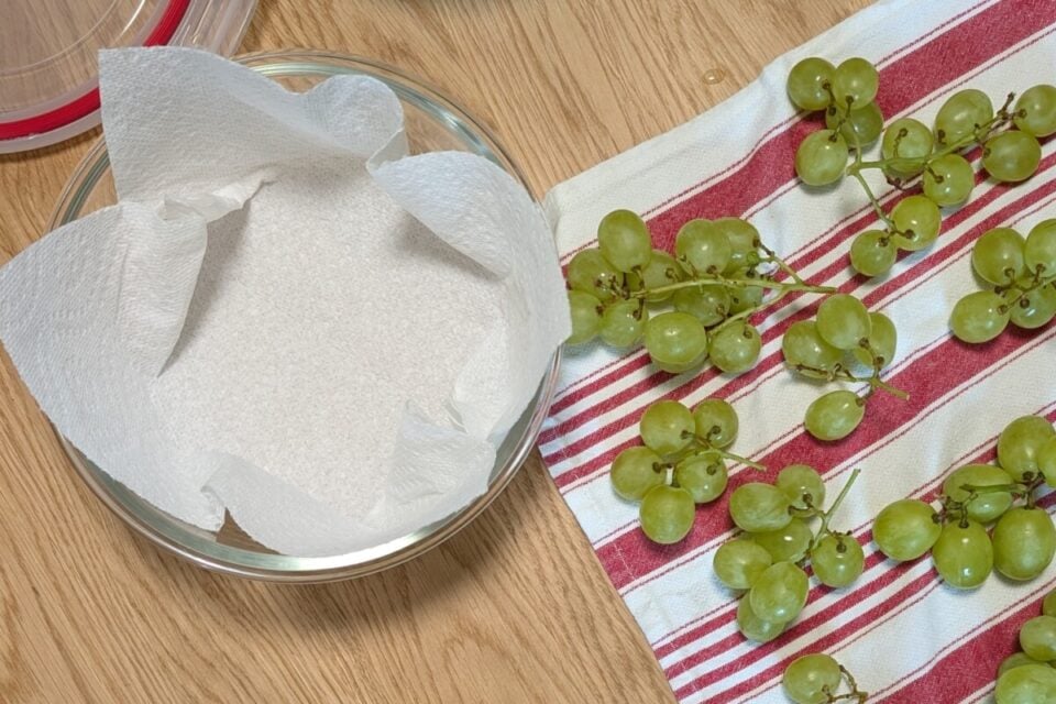 Use My Method to Store Grapes for Up to a Month