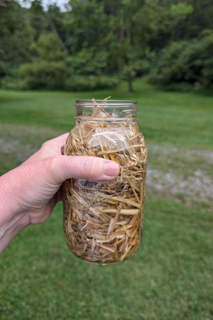 I’m Done Using Straw Mulch (You Might Want to Stop Using It Too)