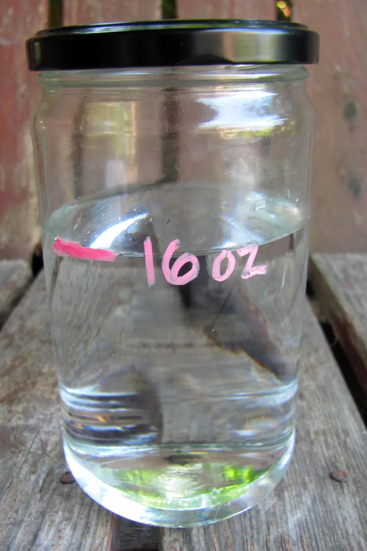 How to Use Urine as Plant Fertilizer