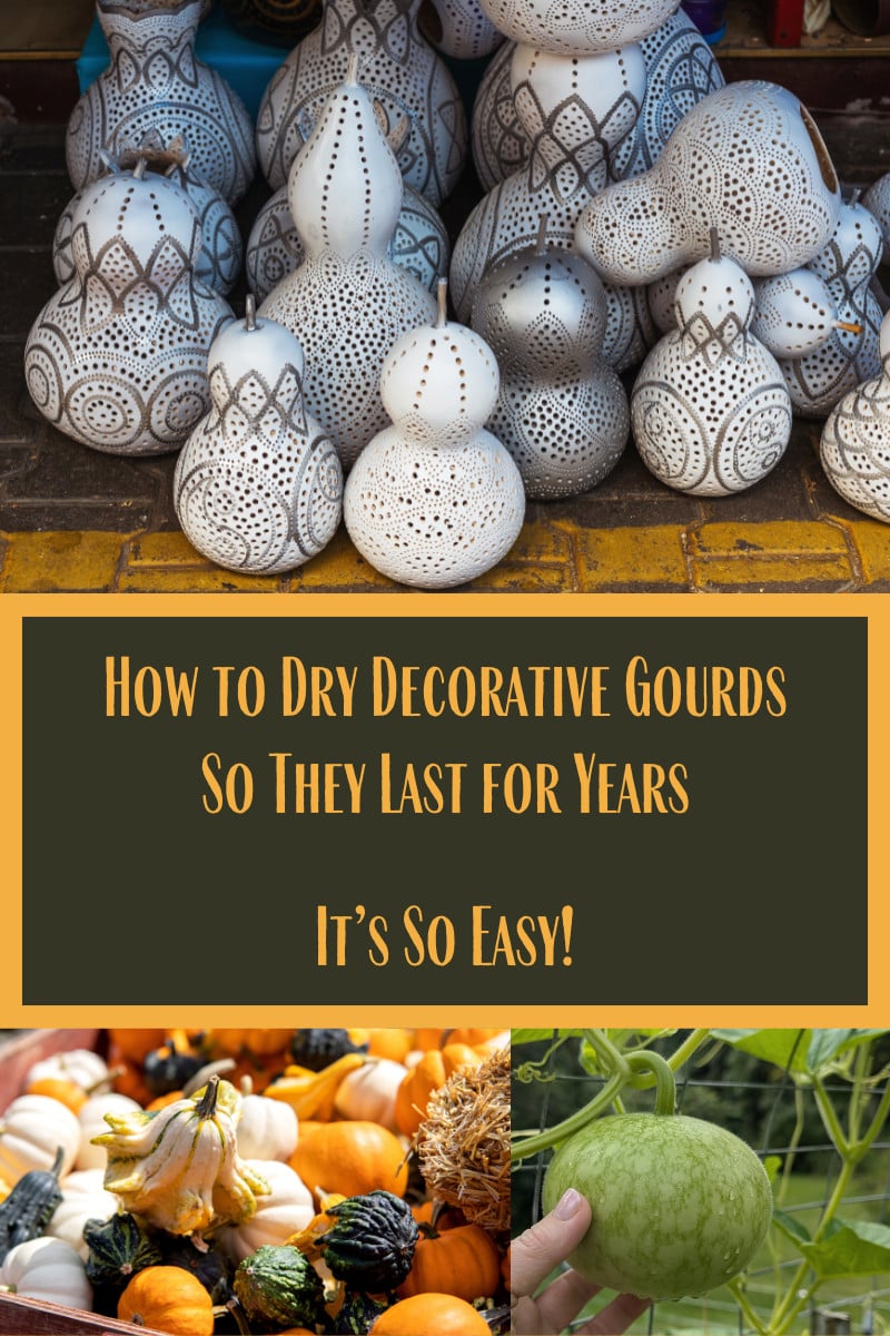 How to Dry Decorative Gourds So They Last for Years – It’s So Easy!