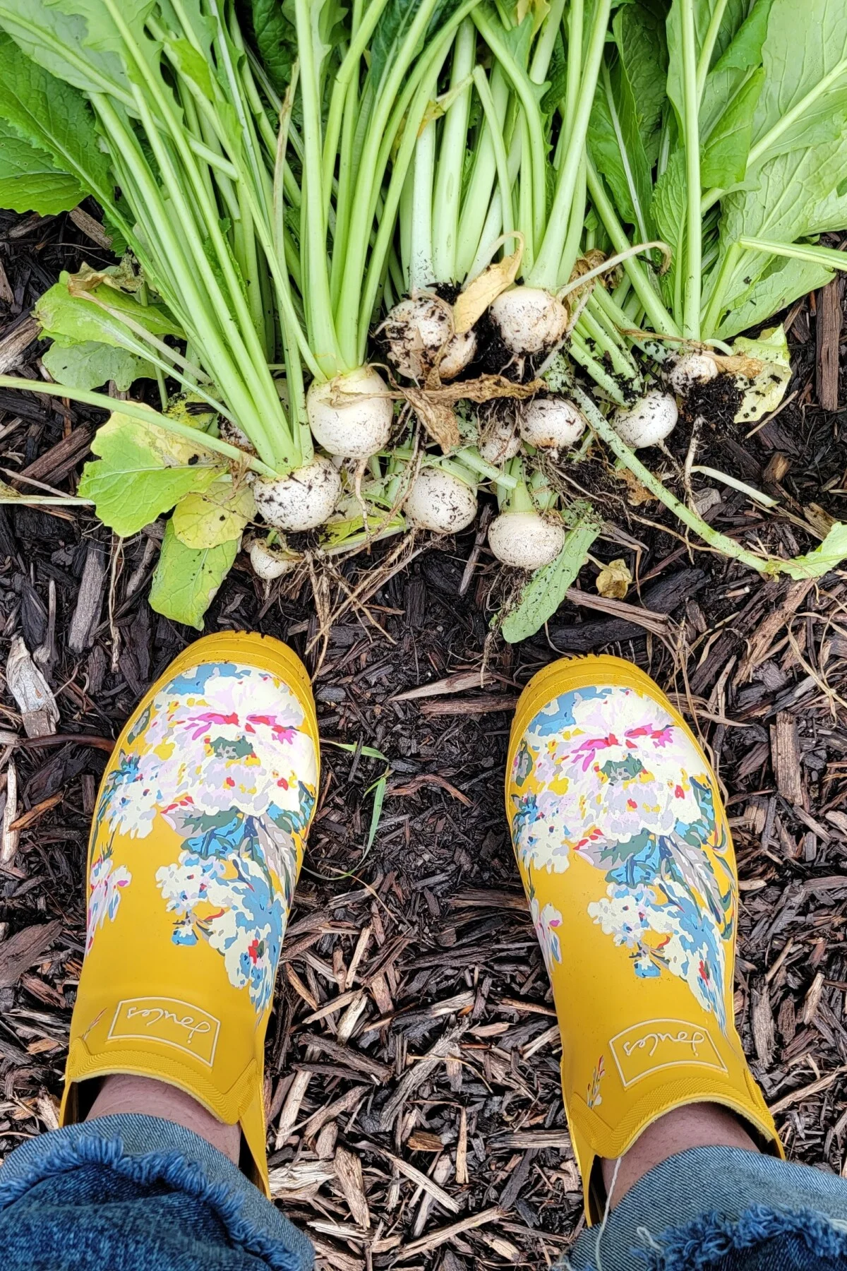 21 Vegetables to Plant in September