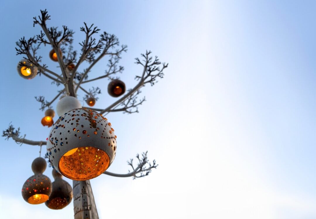 How to Dry Decorative Gourds So They Last for Years – It’s So Easy!