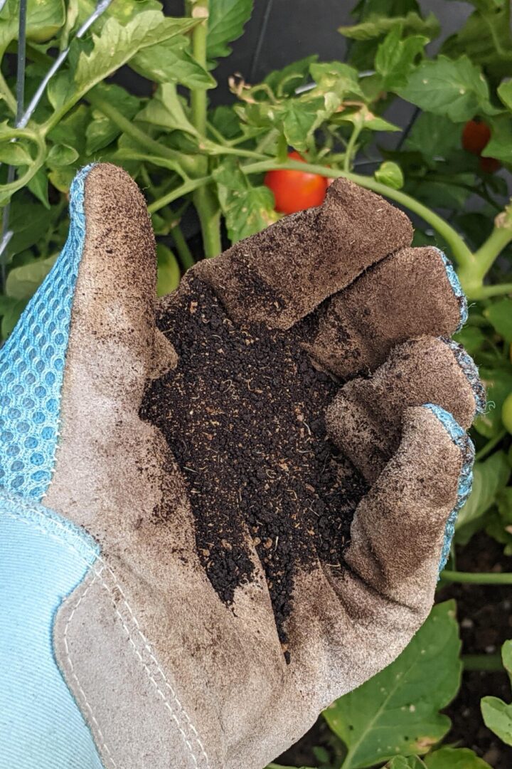 Why Fall Is The Best Time To Fertilize Your Garden (& What To Use)