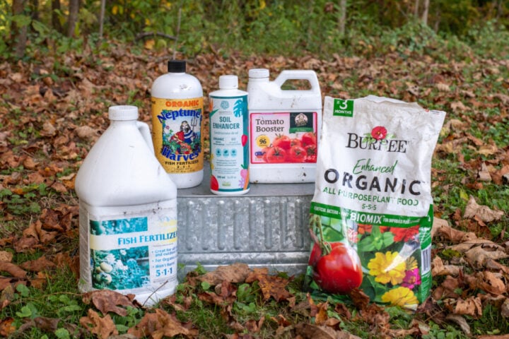 Why Fall Is The Best Time To Fertilize Your Garden (& What To Use)