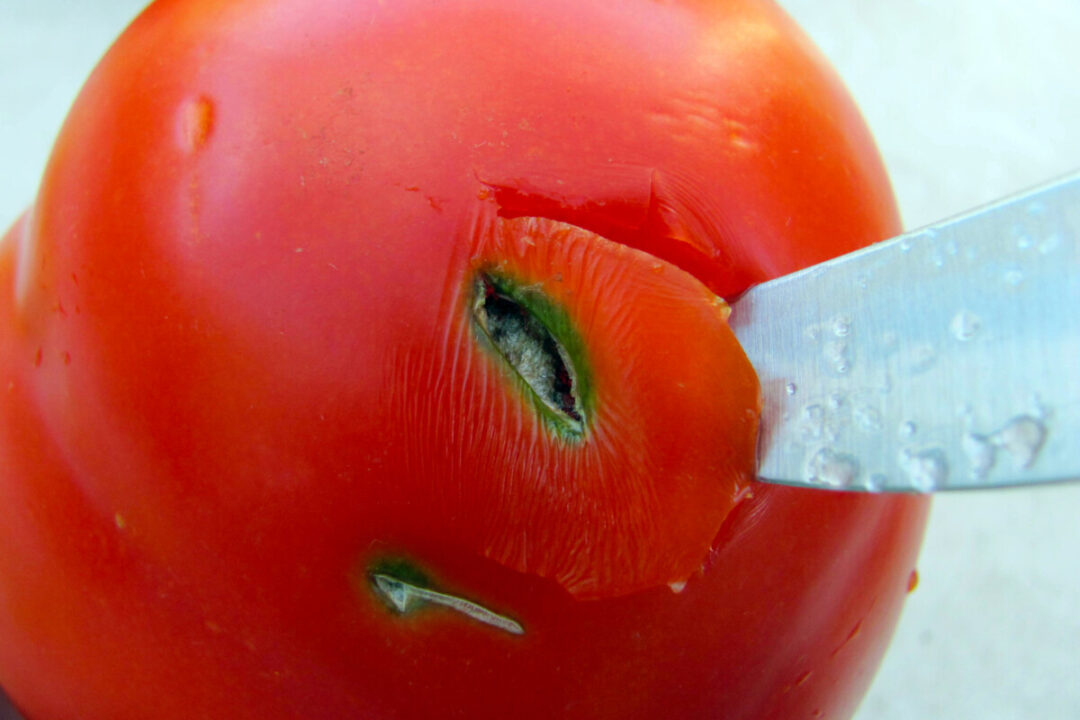 The Easy Way to Remove Tomato Skins (+ A Clever Way to Use the Skins)