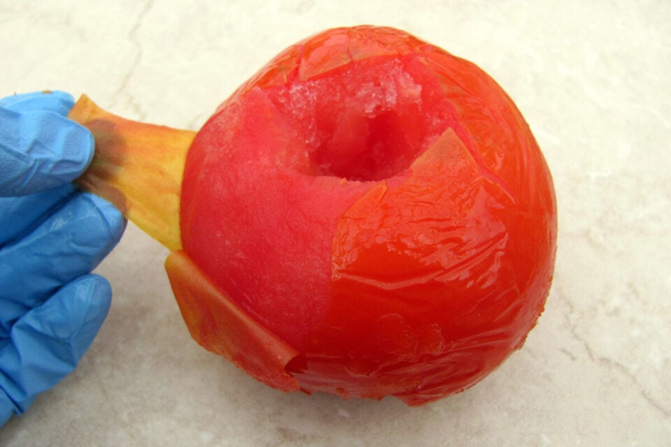 The Easy Way to Remove Tomato Skins (+ A Clever Way to Use the Skins)