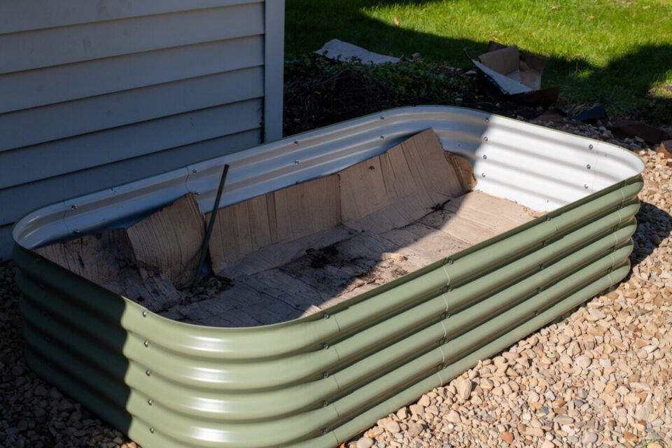 I’m Switching to Raised Beds with Vego Garden – Set Up & First Impressions