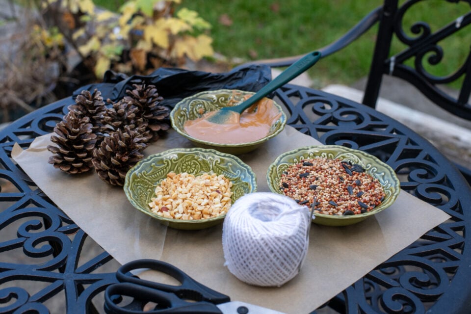 Pine Cone Bird Feeders – Not Just a Kids Craft