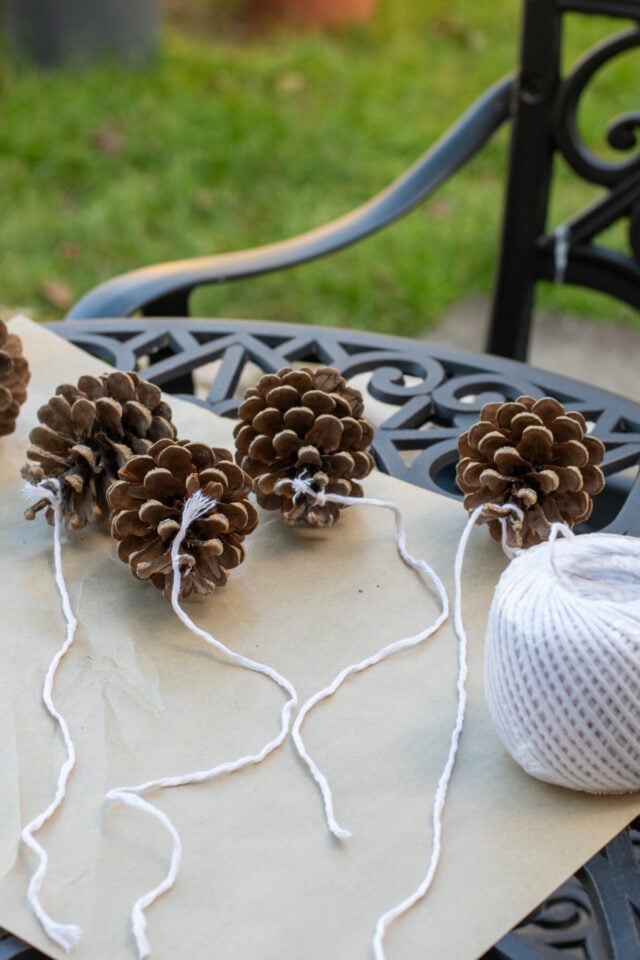 Pine Cone Bird Feeders – Not Just a Kids Craft