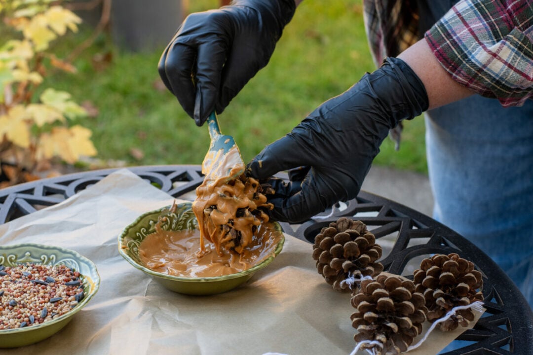 Pine Cone Bird Feeders – Not Just a Kids Craft