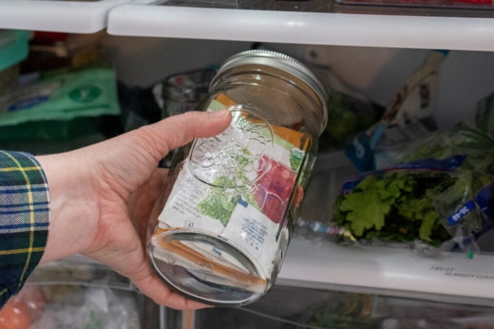 27 Seeds You Need to Refrigerate Before You Sow