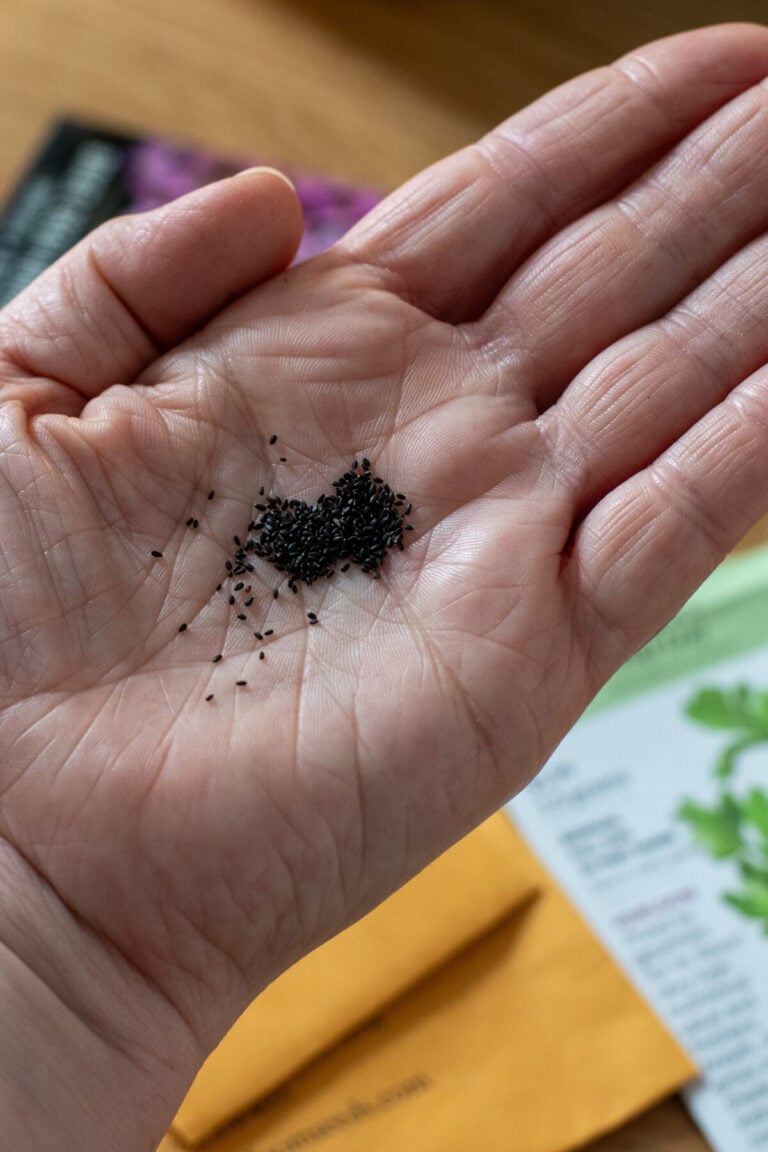 27 Seeds You Need to Refrigerate Before You Sow